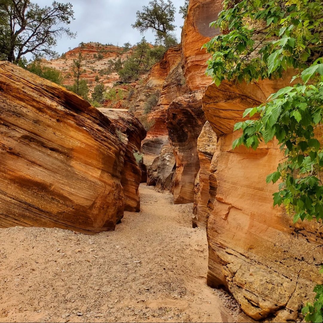 What is Catori – Catori Utah