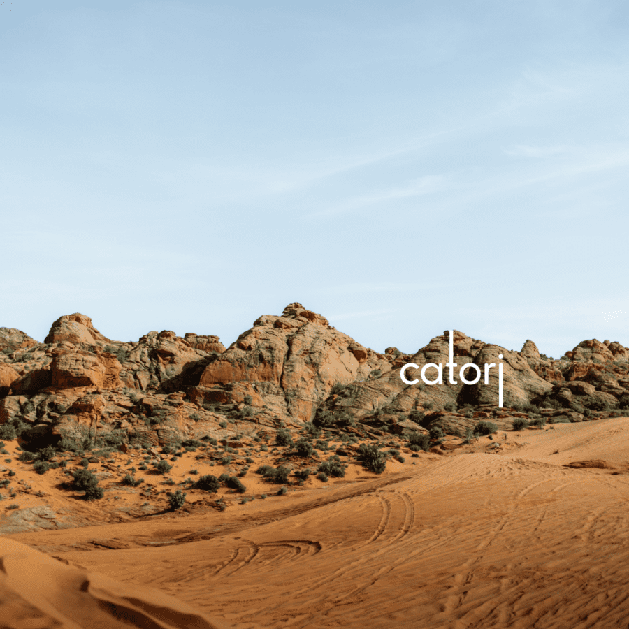 What are the Sculptures Downtown and Why are They There? – 435 Living